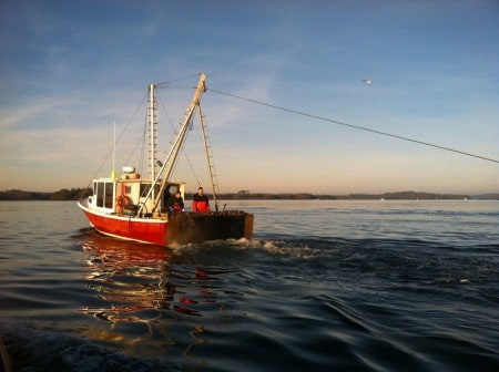 dragging-Scallop-dragger-credit-Trish-DeGraaf - Downeast Fisheries ...